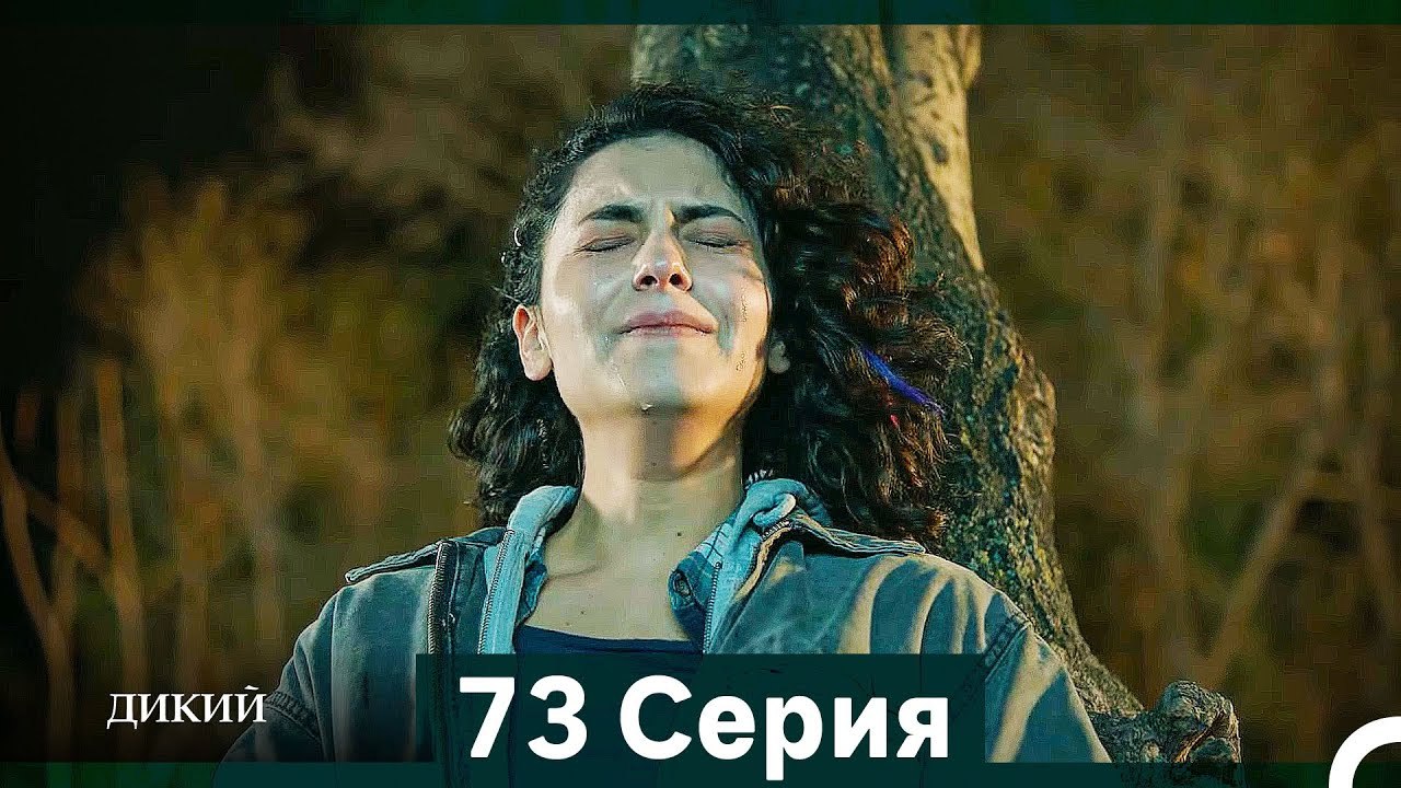 Дикий 73 Серия (Русский Дубляж) – Видео Dailymotion