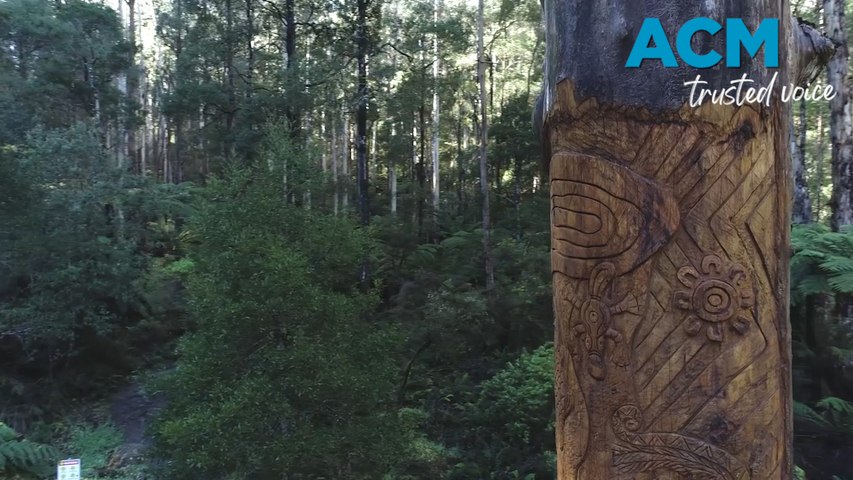 100-year-old gum tree stump transformed into sculpture | The Advocate ...