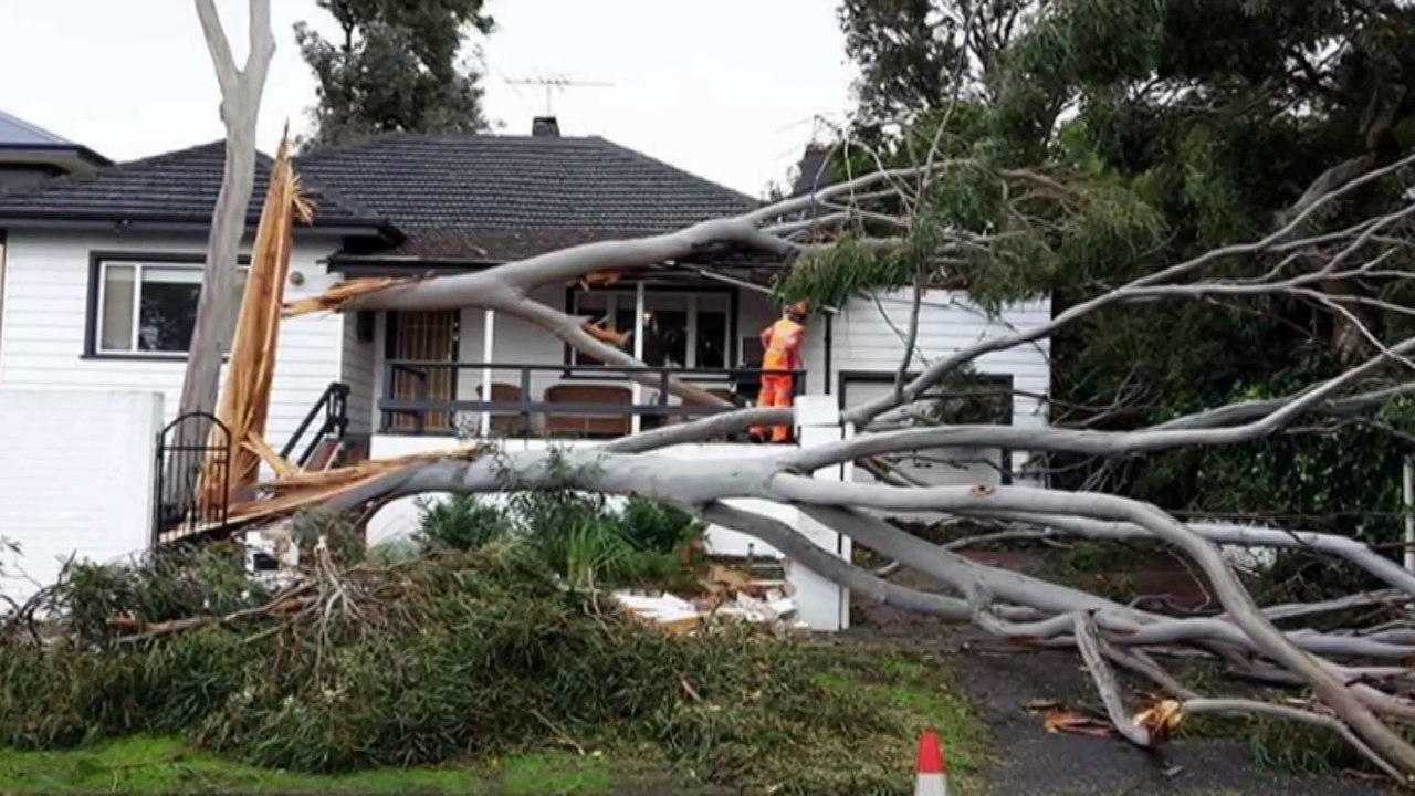 Two dead and thousands without power as strong winds hit Tasmania ...