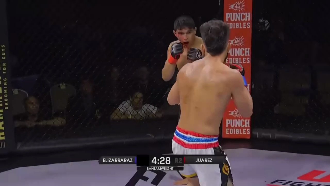 Top MMA Knockouts 2025 🥊 Brutal Finishes & Shocking Moments UFC ...