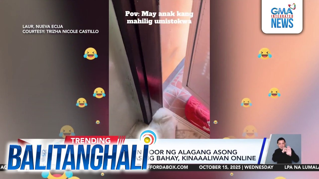 Pagkatok sa screen door ng alagang aso nakapuslit sa labas ng bahay ...
