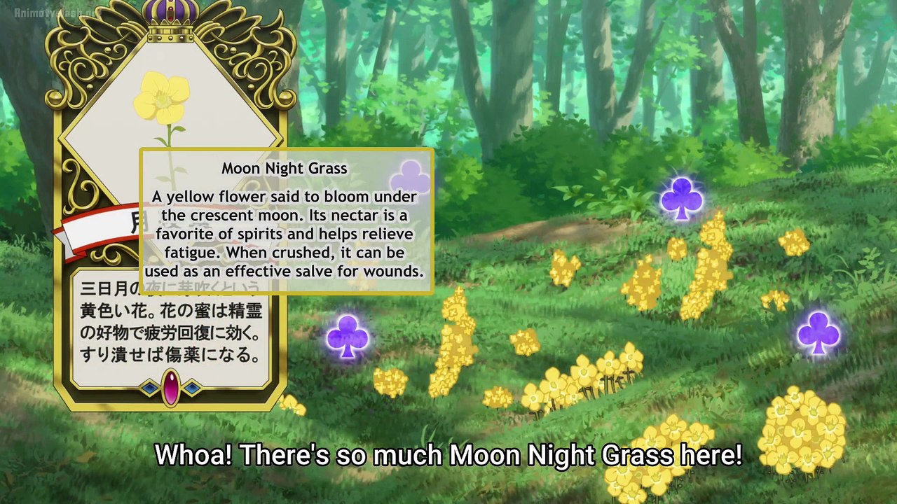 FBM Ep 5 - video Dailymotion