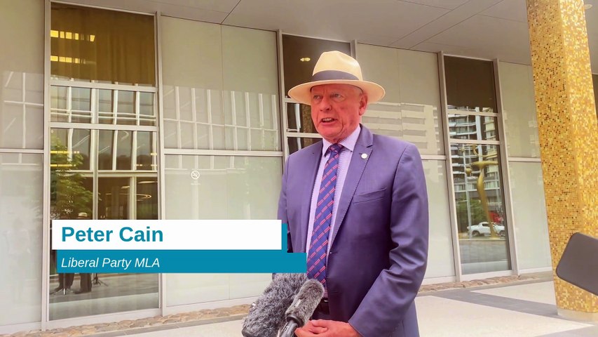 Canberra Liberals' Elizabeth Lee and Peter Cain speak after being ...