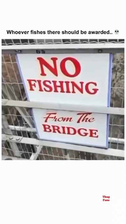 Who would do Fishing from that Bridge | Meme Shorts Gone WILD! 😂🔥 ...