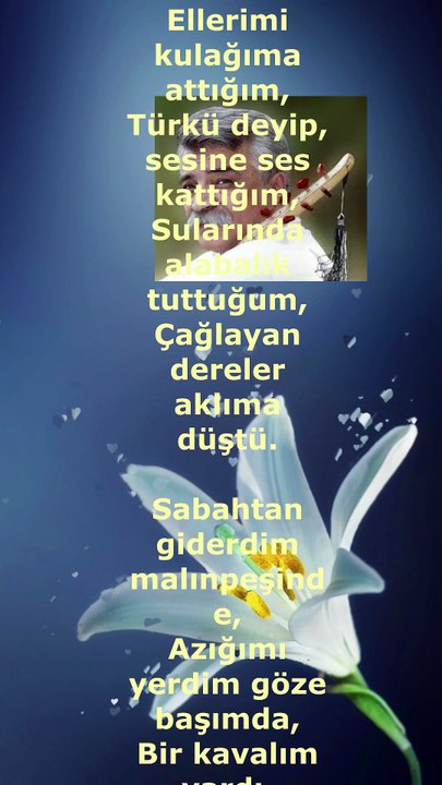 Aklıma Düştü - Ozan Arif - Dailymotion Video