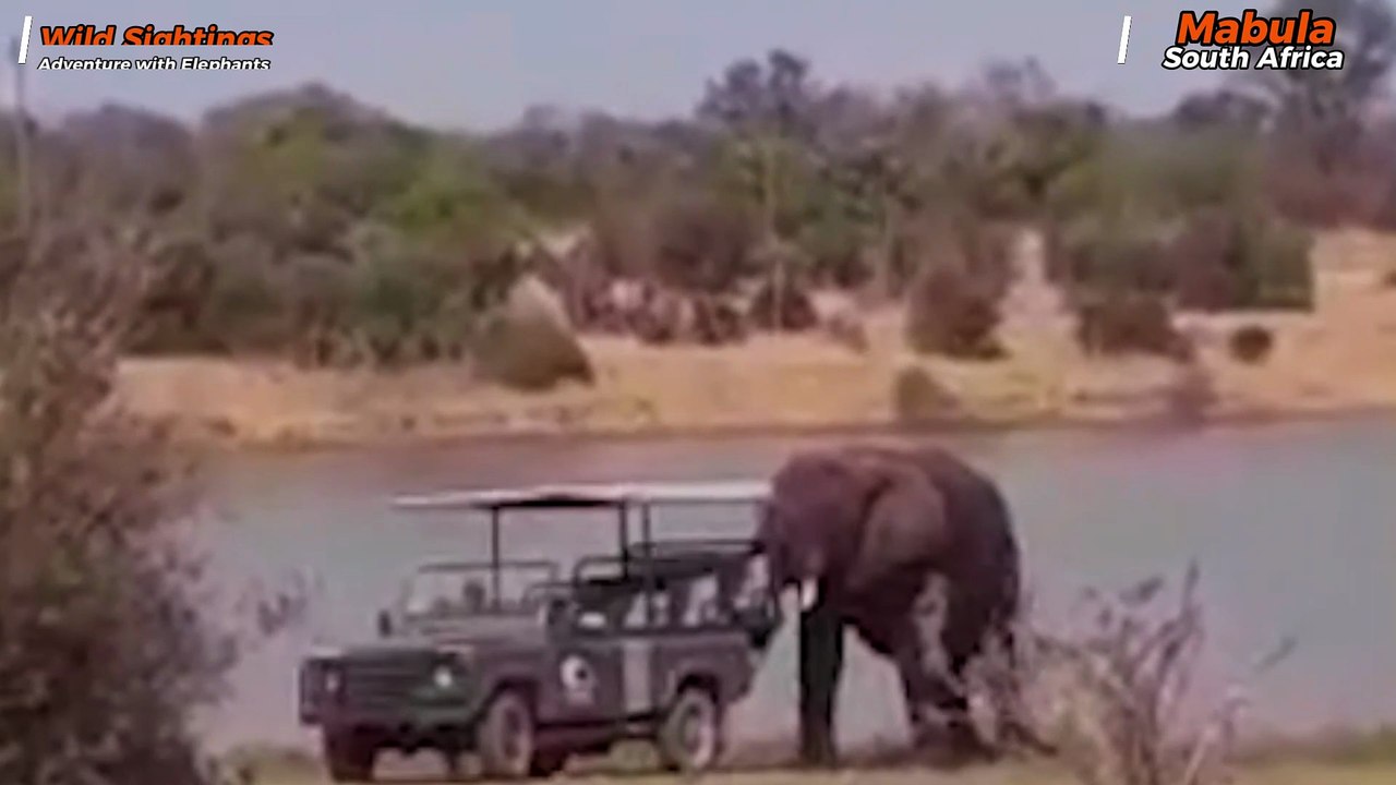 Wild Rescue: Elephant Pushes Safari Jeep Free from Mud - video Dailymotion