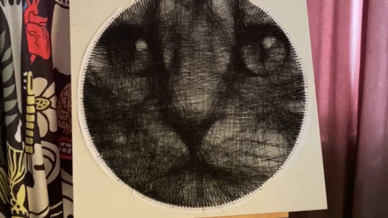 Artist spins a feline string art project instead of drawing a simple ...