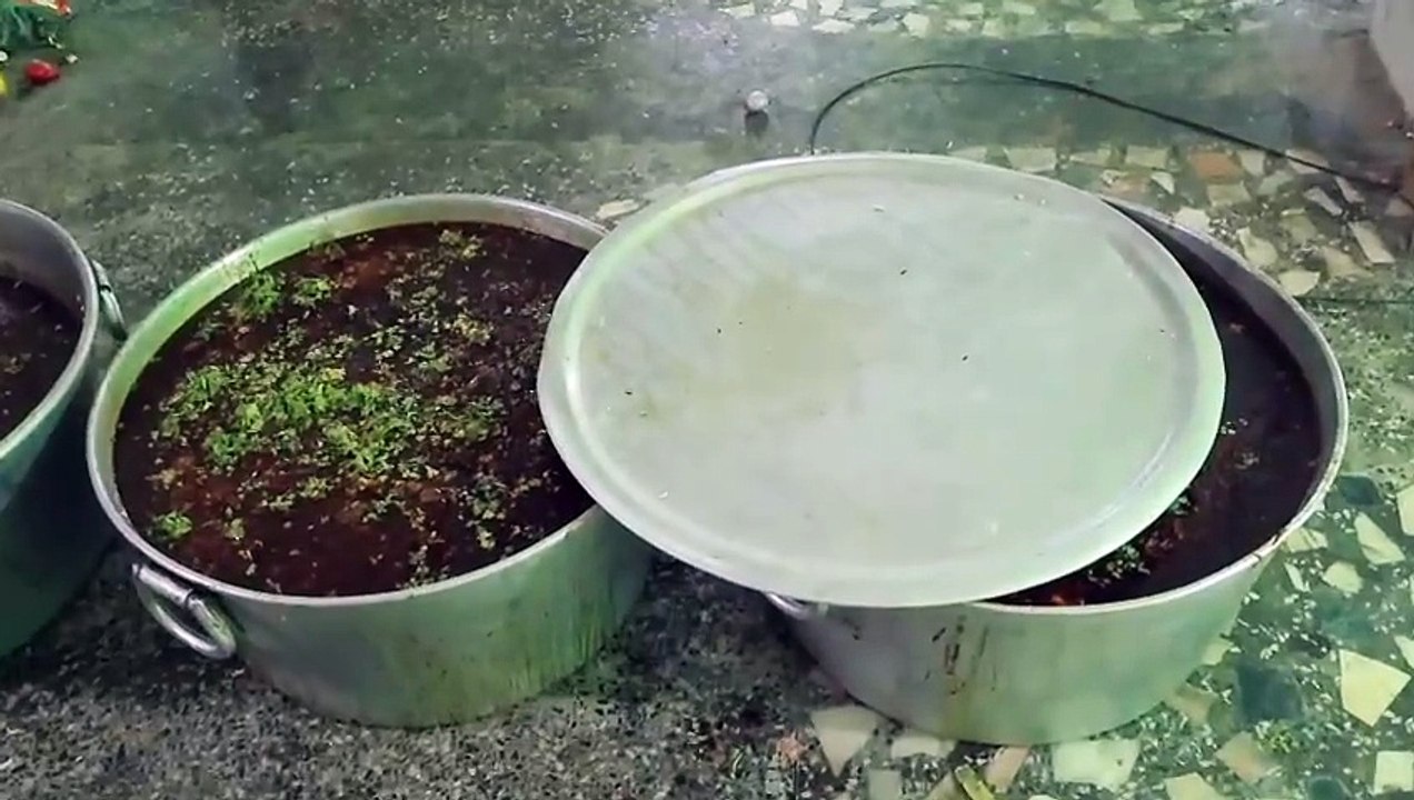 Bihar Election - video Dailymotion