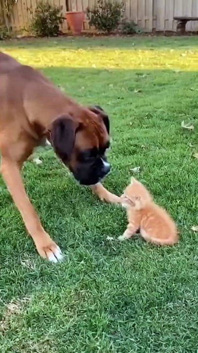 Fabiosa Kindness in Action - 113M views · 1.9M reactions ｜ Who’s the ...