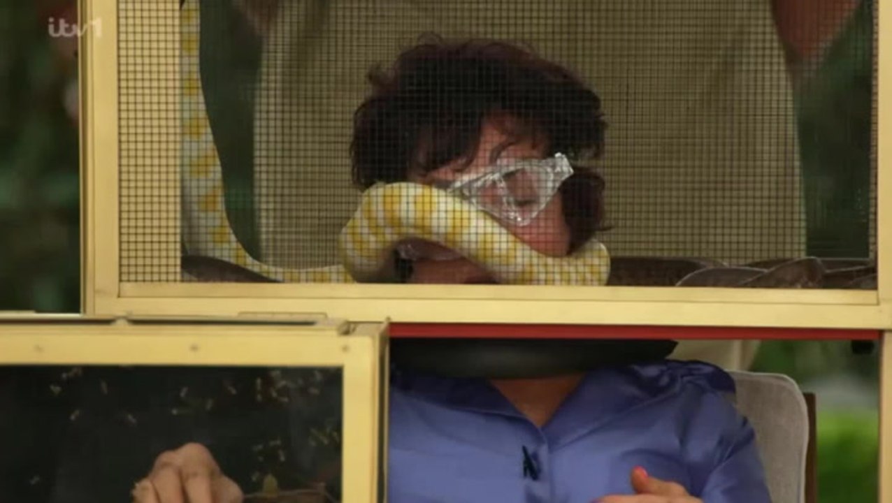 Ruby Wax struggles with snakes in first I’m a Celeb challenge - video ...