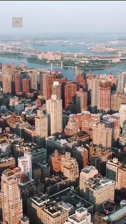 Dear Professor, You Are My Baby Daddy - video Dailymotion