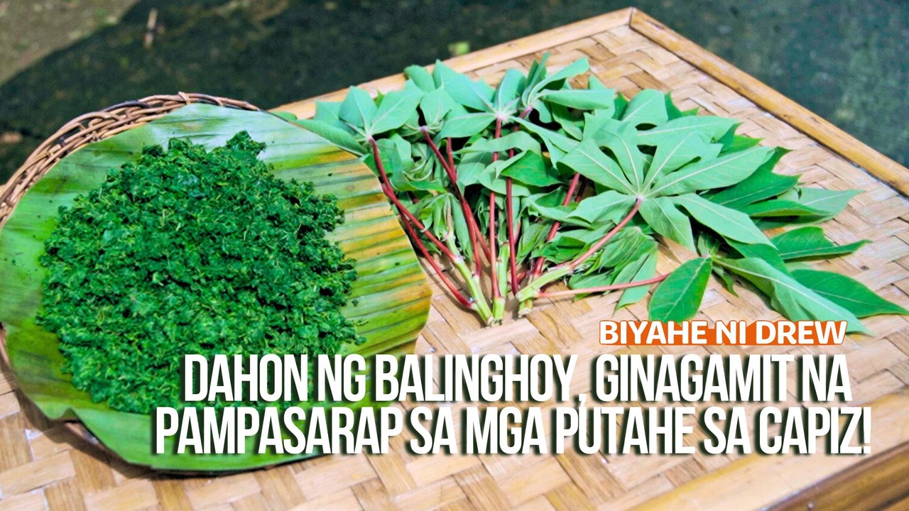 Dahon ng balinghoy, ginagamit na pampasarap sa mga putahe sa Capiz ...