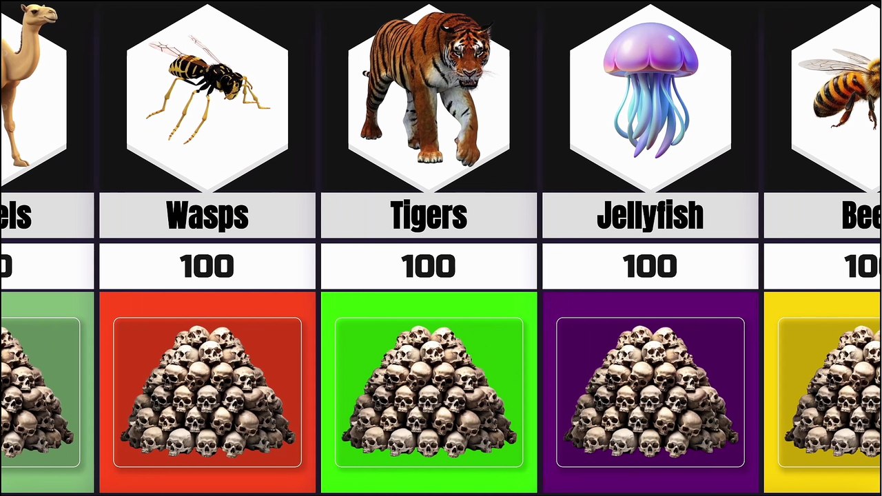 Animals That Kill the Most Humans Per Year | Deadliest Animals - video ...