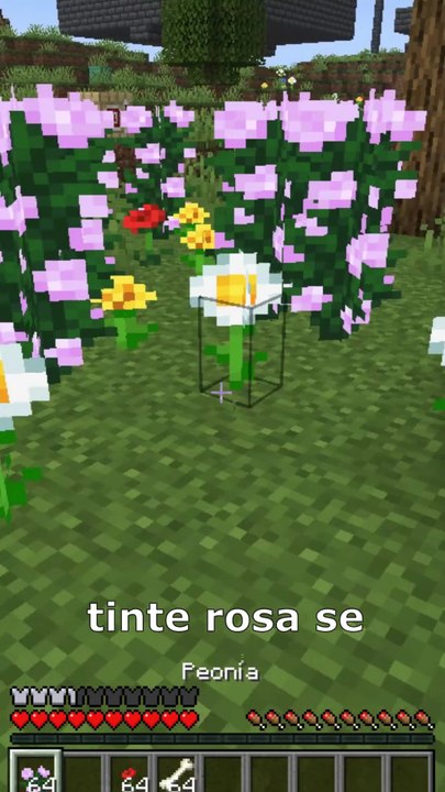 como conseguir tinte rosa en minecraft - Vídeo Dailymotion