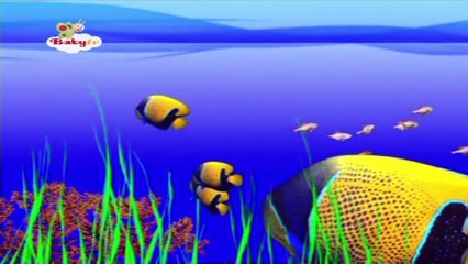 Babytv magic lantern by Connor Maxwell - Dailymotion