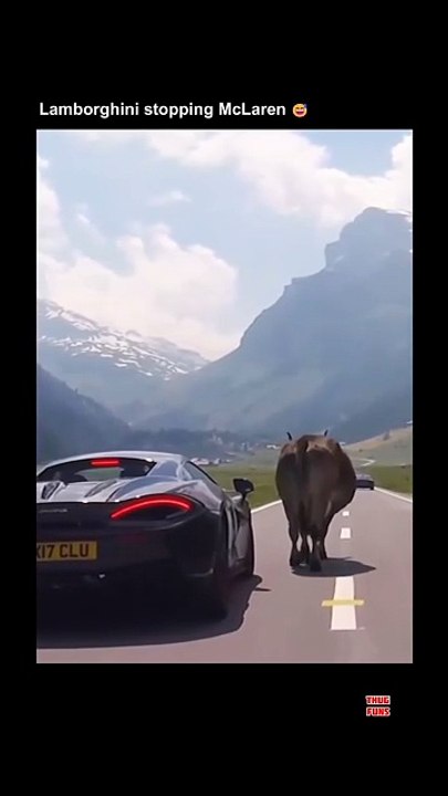 Lamborghini sprite animal stopped Mclaren - Meme Shorts Gone WILD! 😂🔥 ...