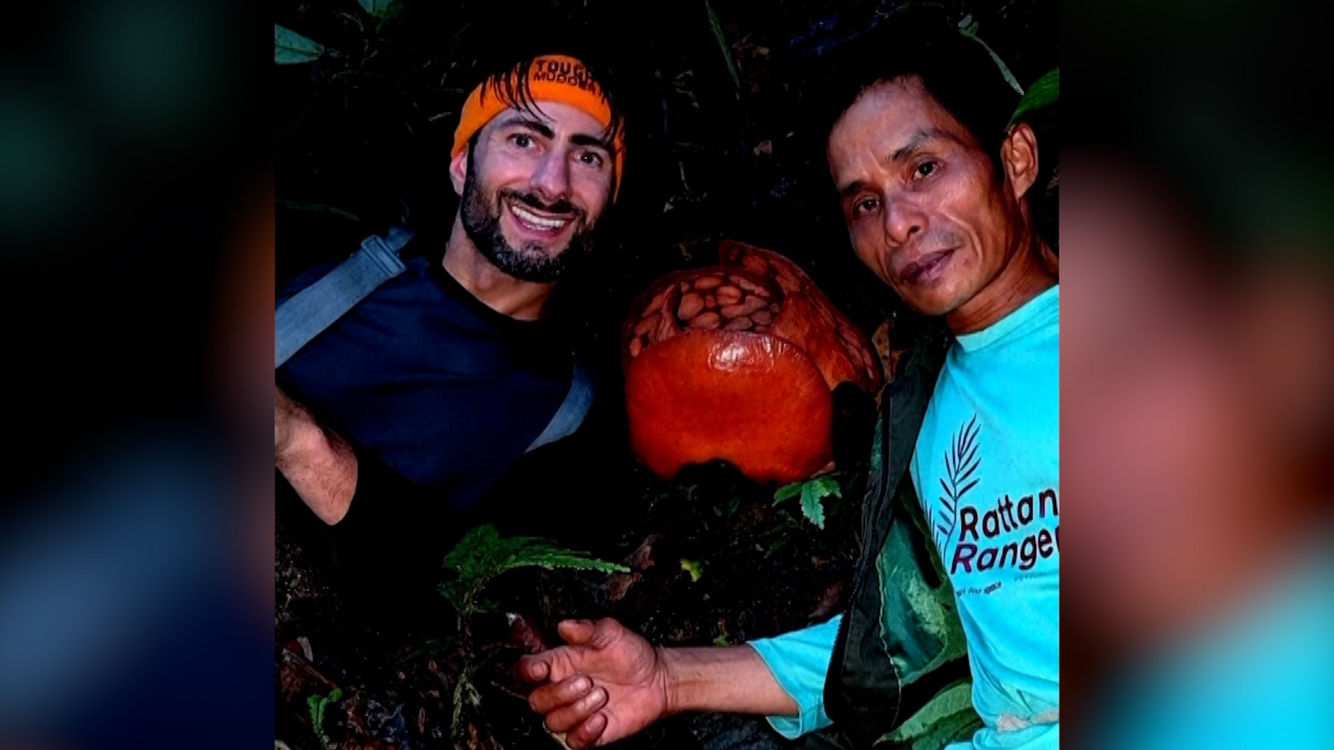 VÍDEO: El emocionante momento en que encuentran la planta rara ...
