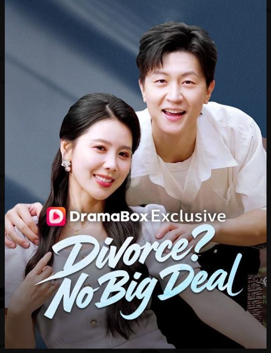 Divorce No Big Deal Drama Movies English Sub - video Dailymotion