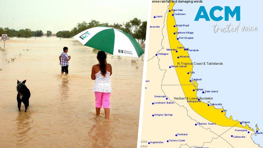 Queensland farmers readying for potential livestock losses as cyclone ...