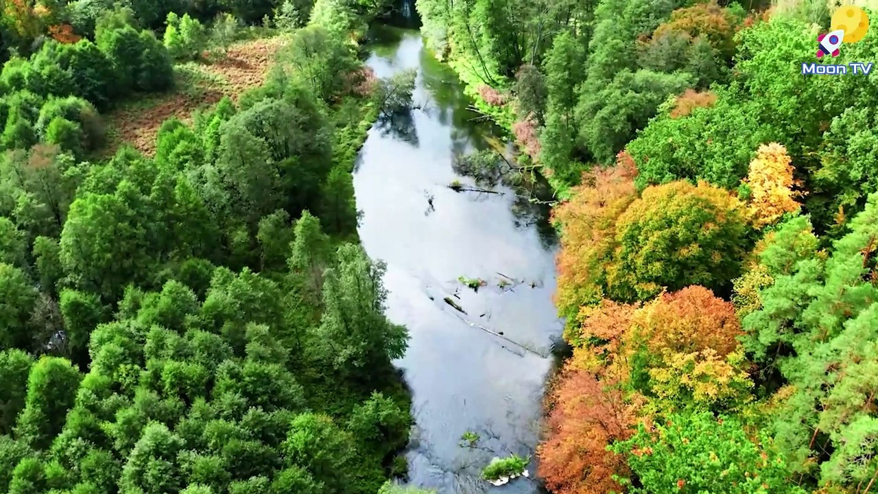 Yoga Meditation Music For A Balanced Mind And Body - video Dailymotion