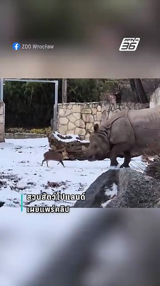 วาสนา เผย บิ๊กเล็ก โอด พอแล้ว รมว.กลาโหม| PPTV News | 13 ม.ค.69 : PPTVHD36