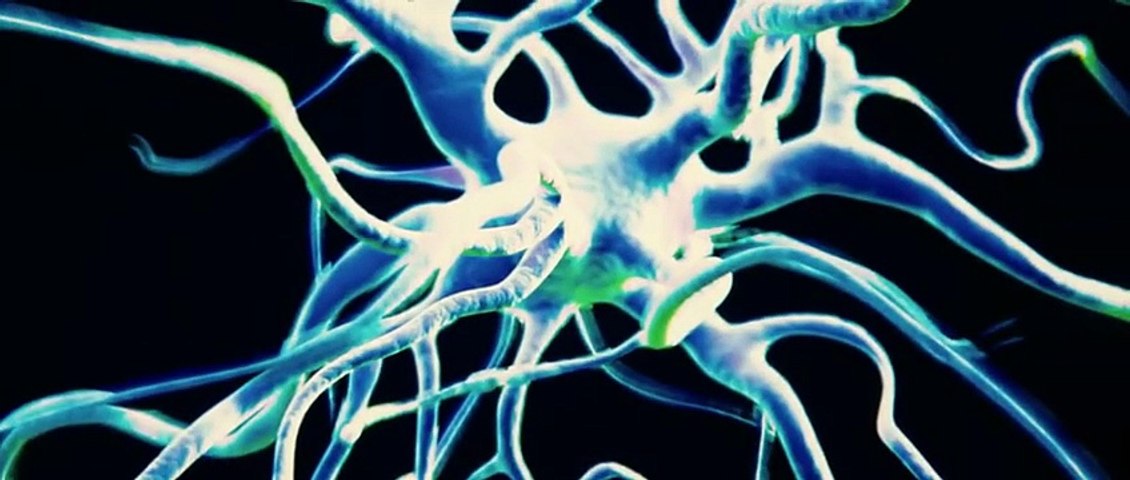 Chemical Hearts (2020)