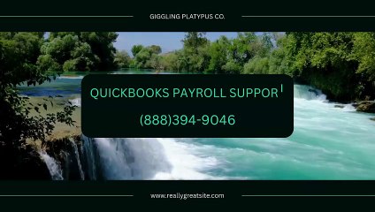 11Ways To Reach Quickbooks Payroll Customer suppor by Kritika Verse ...