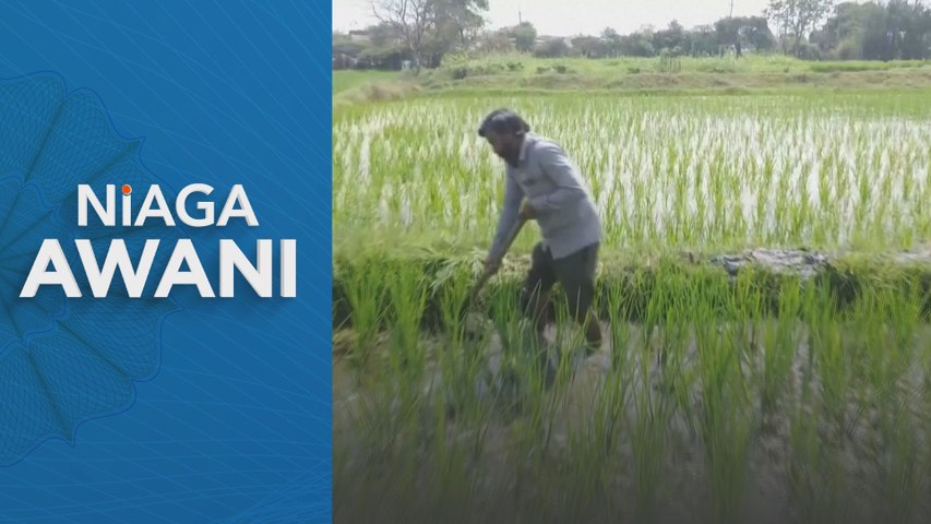 Eksport India ke Iran terhenti akibat protes, tarif | AWANI International