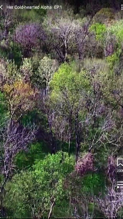 Her Cold Hearted Alpha Part 1 - video Dailymotion