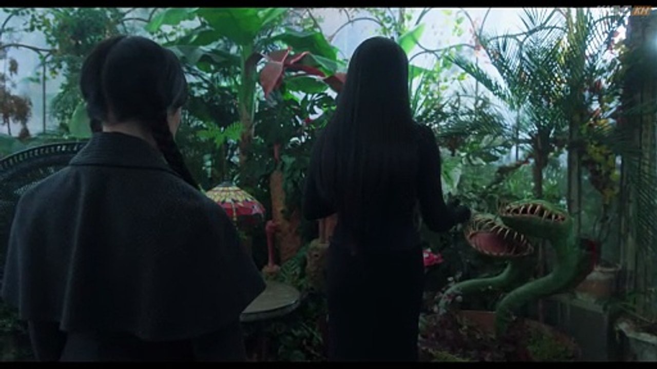 Wednesday - Season 2 Episode 7 - kisskh - video Dailymotion