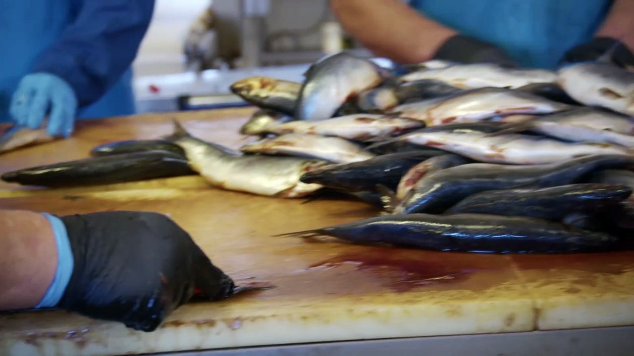 nevens english food tour s01e02 - video Dailymotion