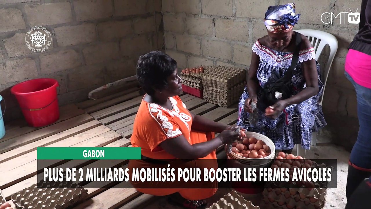 [#Reportage] Gabon : plus de 2 milliards mobilisés pour booster les ...