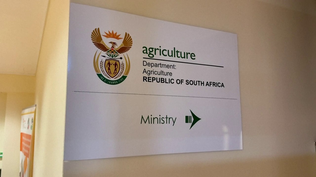 South Africa launches largest campaign to control foot and mouth ...