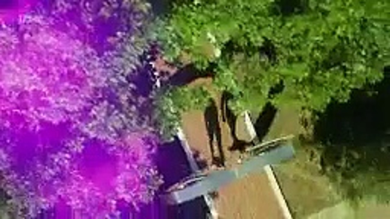 Love Island All Stars S 3 EP 1 - video Dailymotion