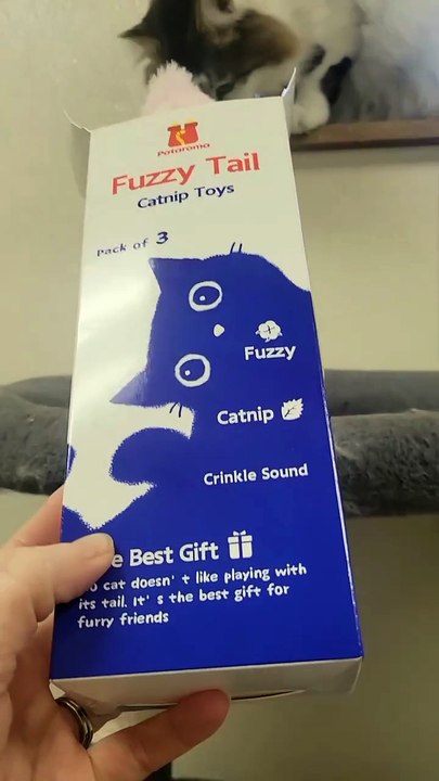 Plush Cat Chew Toy with Catnip 😻 | Self-Hi Bite Toy That Keeps Cats ...