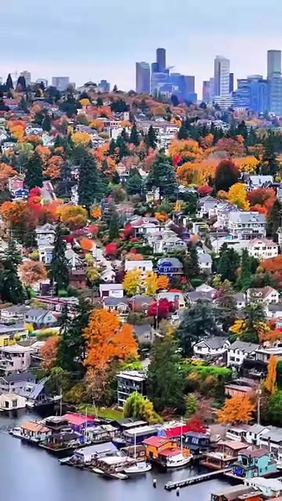 Beautiful view 😍😍 - video Dailymotion