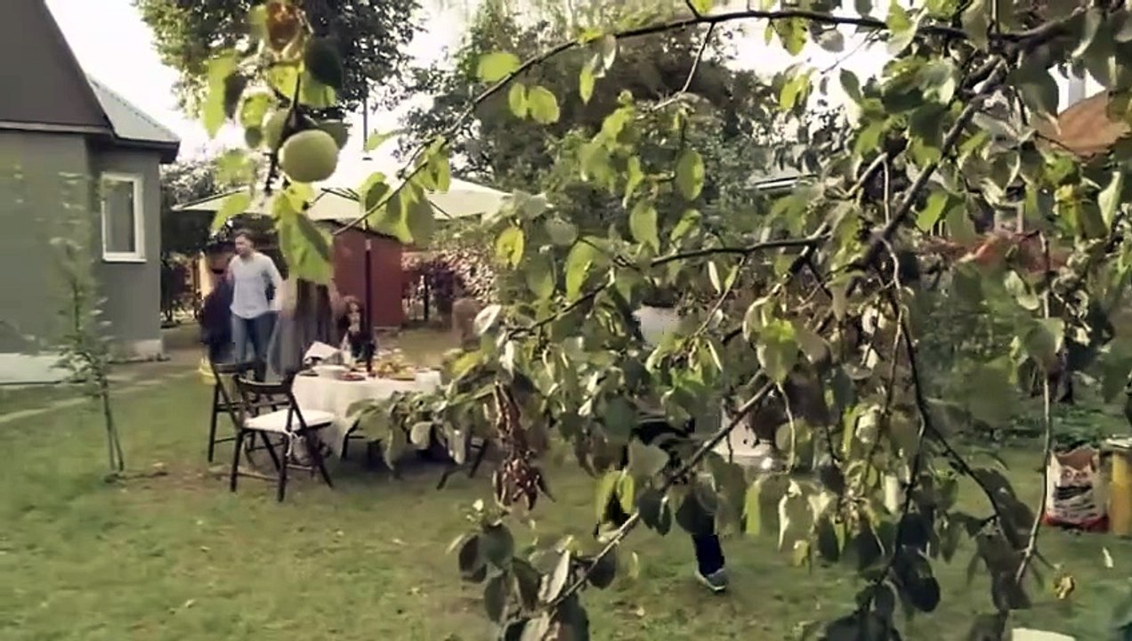 Roza proshchalnykh vetrov - Rose Farewell Wind 2012 - Forty-year old ...