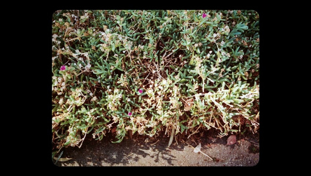 The Hillside Strangler S01E01 City of Dreams City of Nightmares 1 H 264 ...