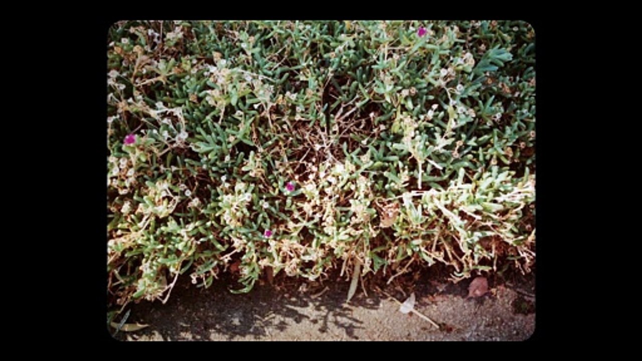 The Hillside Strangler 2026 S01E01 - video Dailymotion