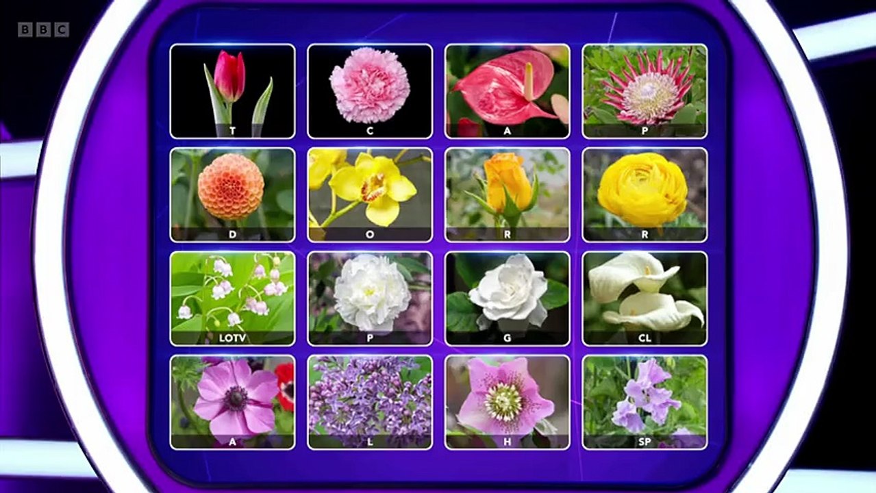 Pointless - Season 34 Episode 31 - video Dailymotion