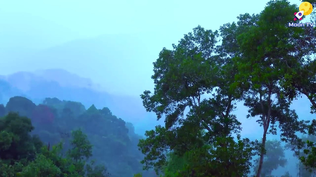 Relaxing Music, Meditation Music, Sleep Music, Calming Music, Healing ...