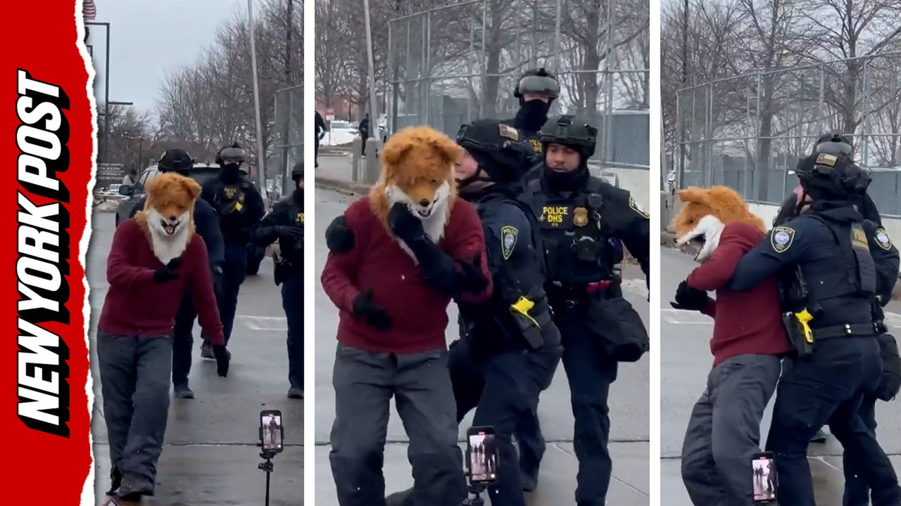 Watch dancing fox get demonstrator taken down by ICE - video Dailymotion