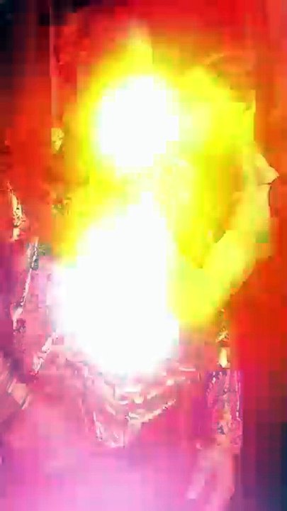 Freeze! My Wanted Lover shortical - video Dailymotion