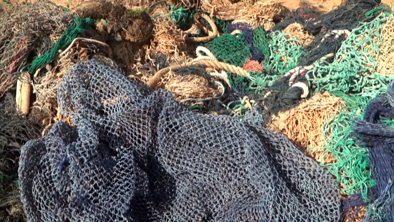 Government investing $25 million investing to stop discarded fishing ...