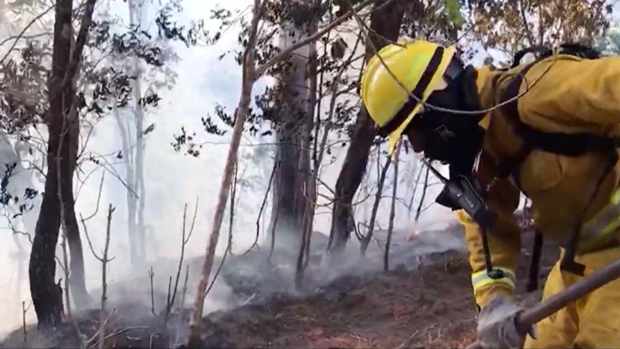 tn7-inicia-temporada-de-incendios-forestales-210126 - Vídeo Dailymotion