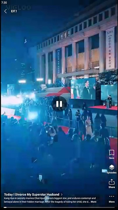 Today I Divorce My Superstar Husband - Chinese Drama - English Sub ...