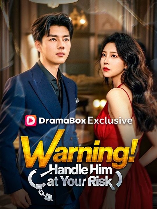 Warning! Handle Him at Your Risk (DUBBED) - video Dailymotion