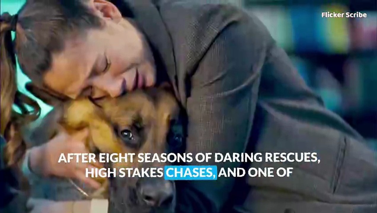 Hudson & Rex Season 9 Trailer - Cancelled or Renewed Latest News ...