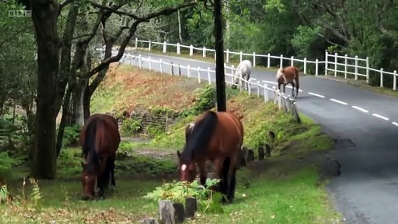 Digging for Britain - Season 13 Episode 5 - Medieval Murder and Roman ...