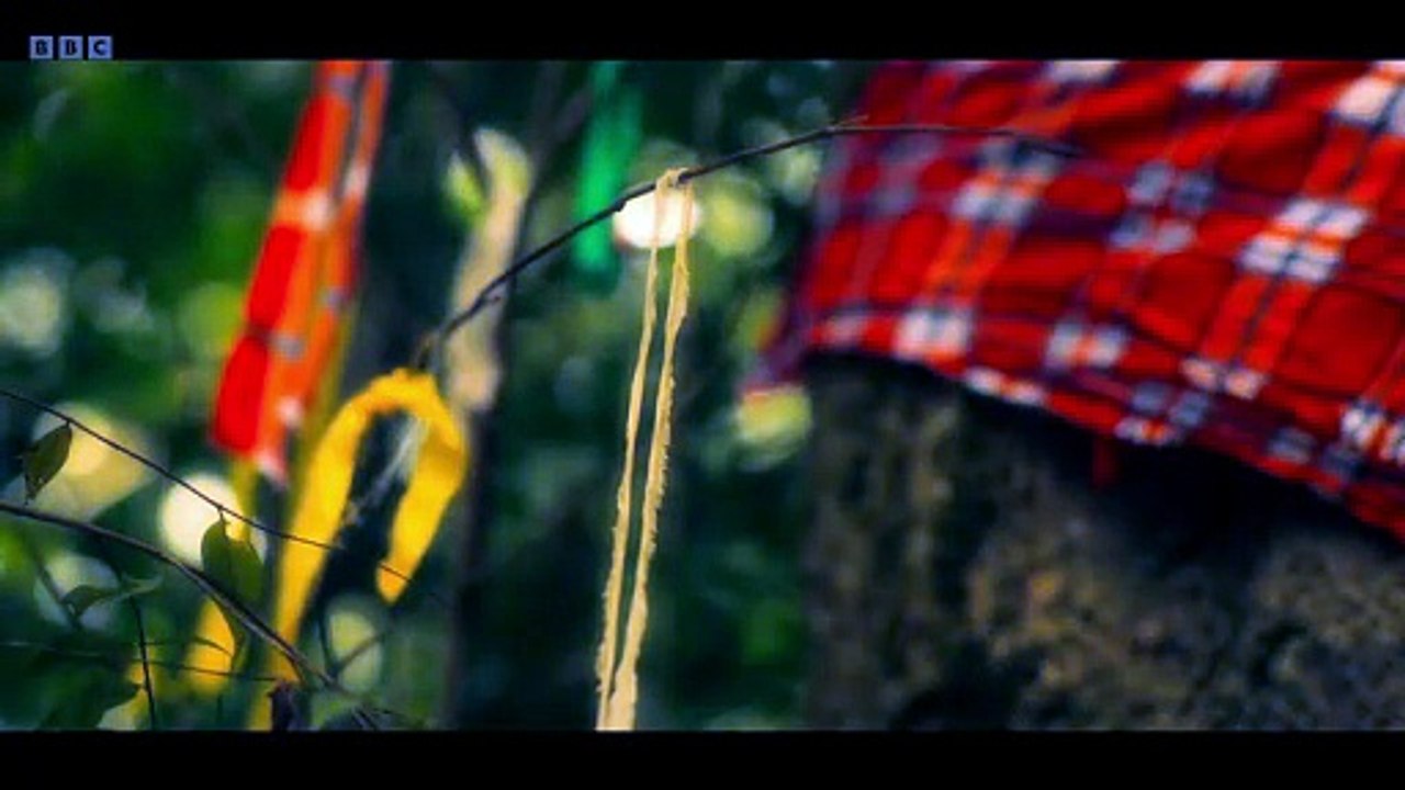 The Million Pound Shaman Scam - Season 1 Episode 1 - video Dailymotion